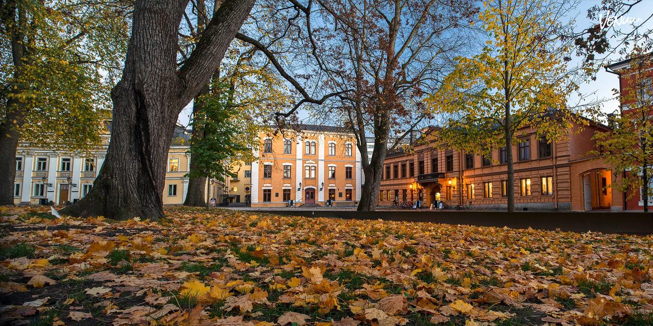 Turun Vanha Raatihuone / Juhlasali - Katso kuvat ja varaa - Venuu.fi
